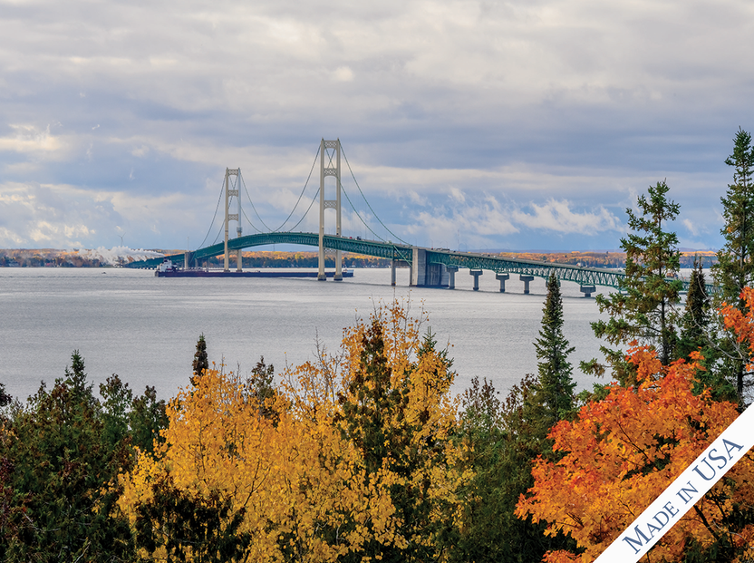 Michigan Awesome | Shirts, Gifts, & Michigan Souvenirs